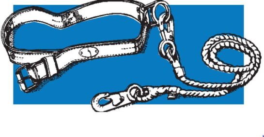 Personal Fall Protection Equipment - HSSE WORLD