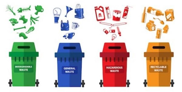 Waste Management: Procedures and Disposal Options