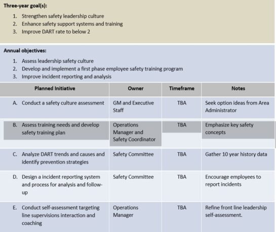 Health Safety at Work Improvement Action Plan