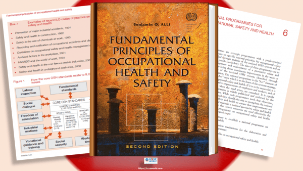 E-Books: Fundamental principles of occupational health and safety HSSE ...