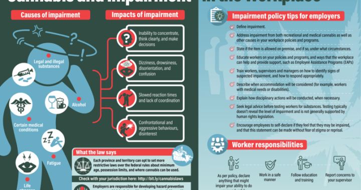 What is The meaning of Back Fire, Sustained Backfire, and Flashback ...