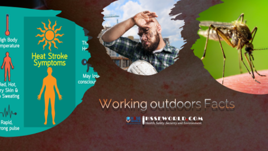 Working Outdoors Facts HSSE WORLD