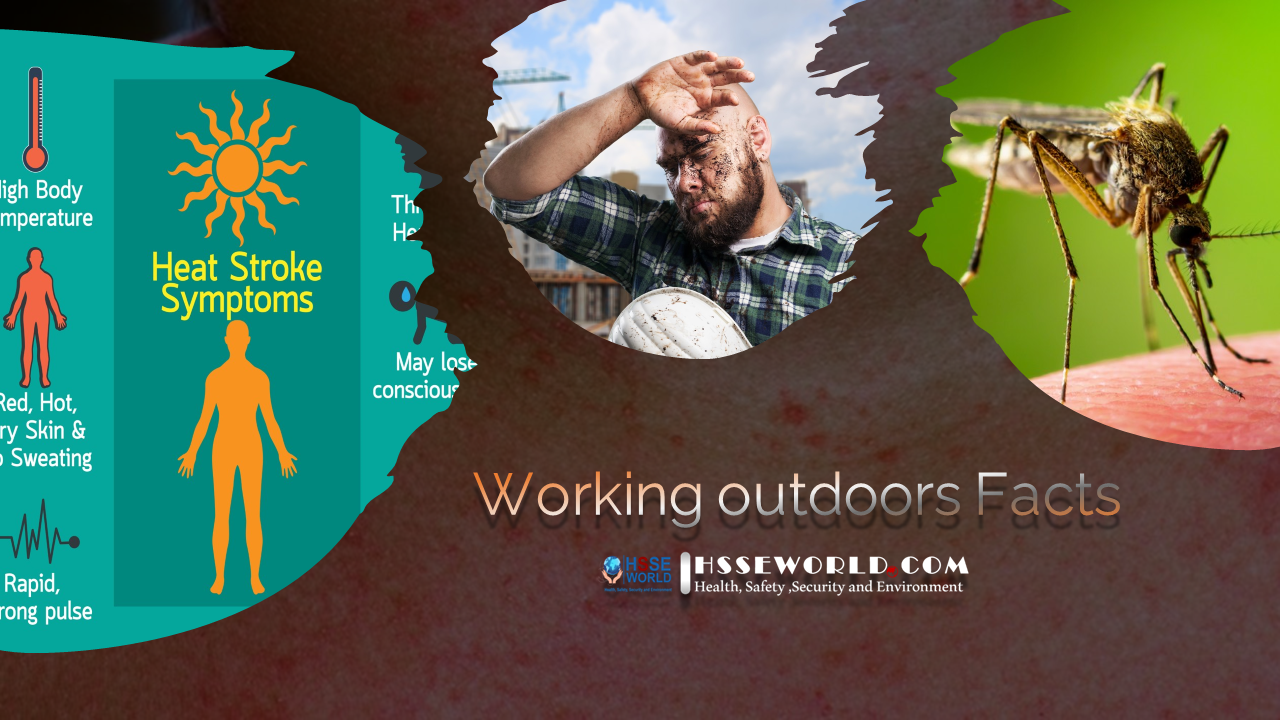 Working Outdoors Facts HSSE WORLD