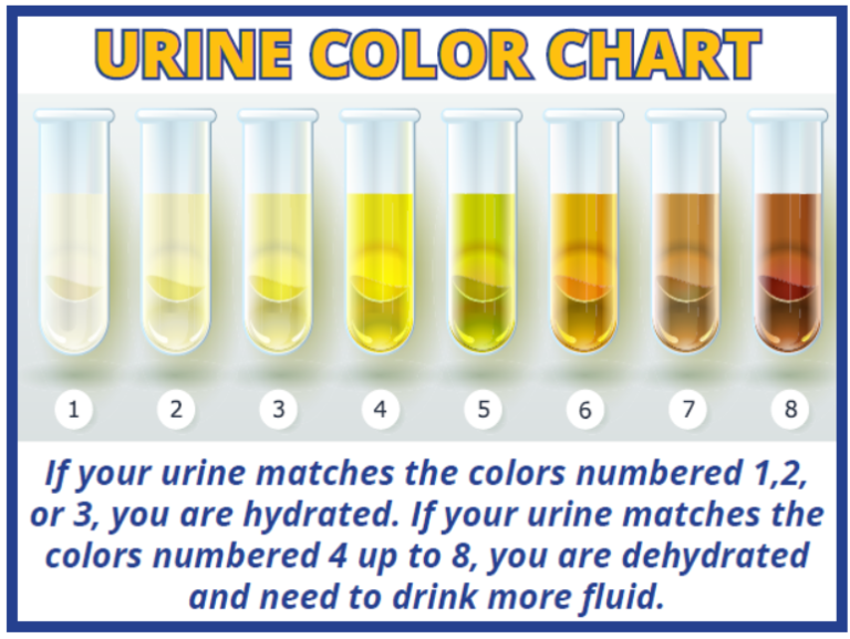 Fluid Replacement Facts HSSE WORLD
