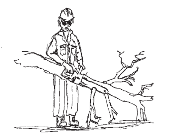 Chainsaw Safety HSSE WORLD