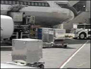 Baggage Handling and Ergonomic Solution HSSE WORLD