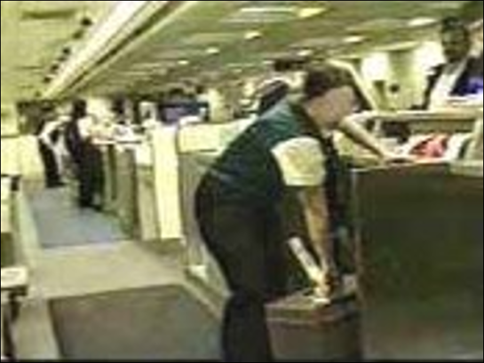 Baggage Handling and Ergonomic Solution HSSE WORLD