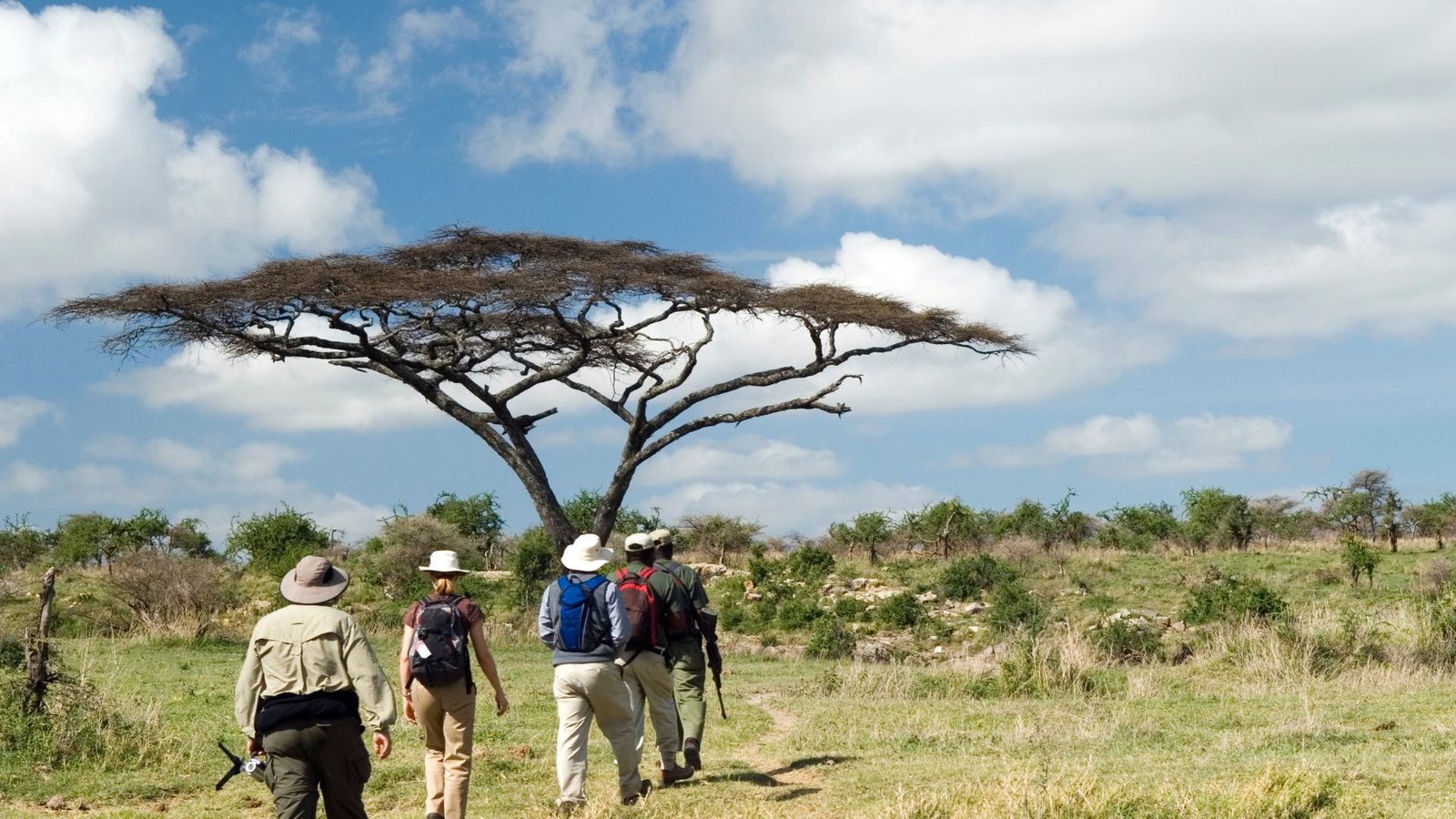Safari Guide for a Safe and Memorable Adventure - HSSE WORLD