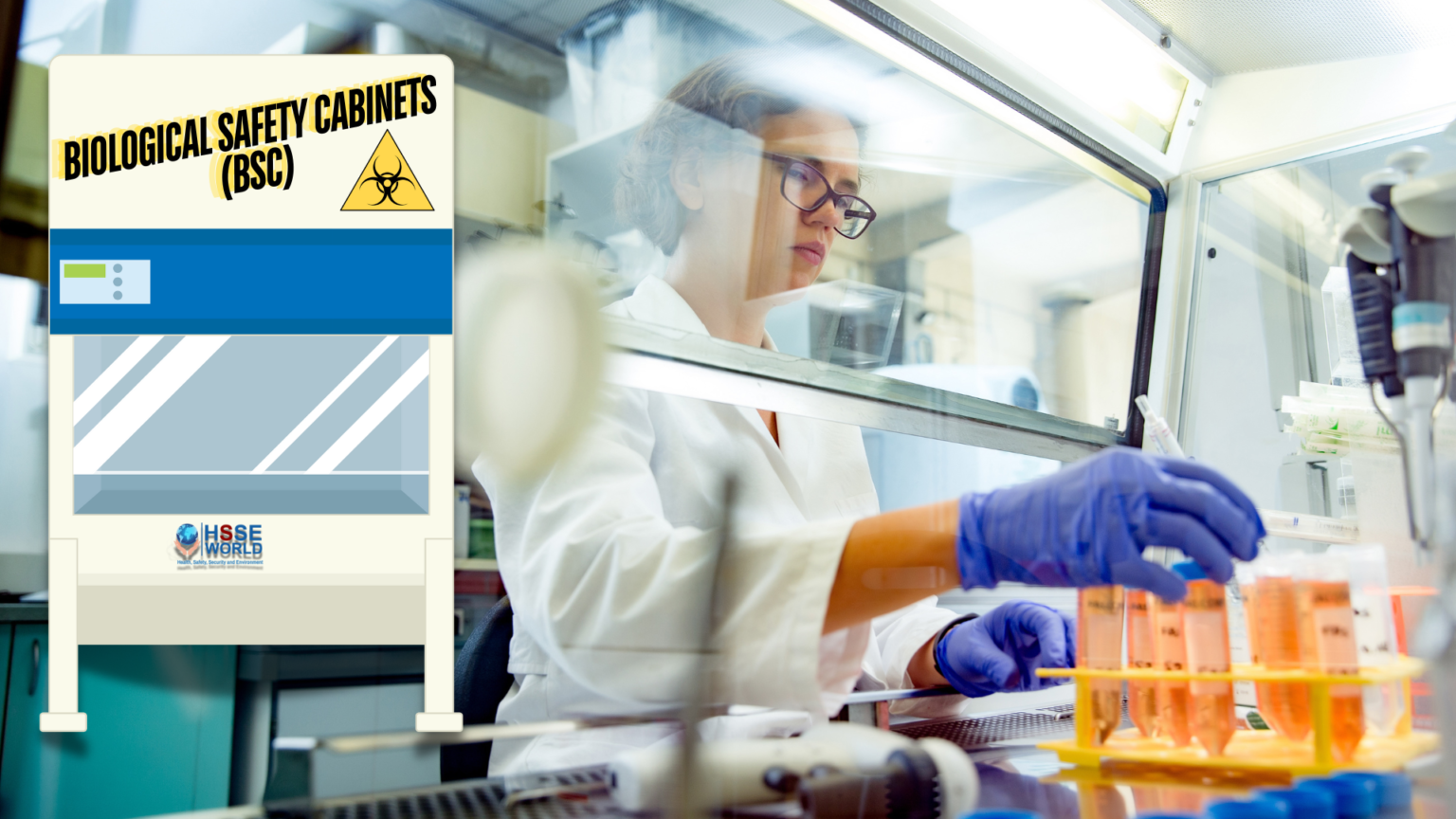 Biological Safety Cabinets Everything You Need to Know About - HSSE WORLD