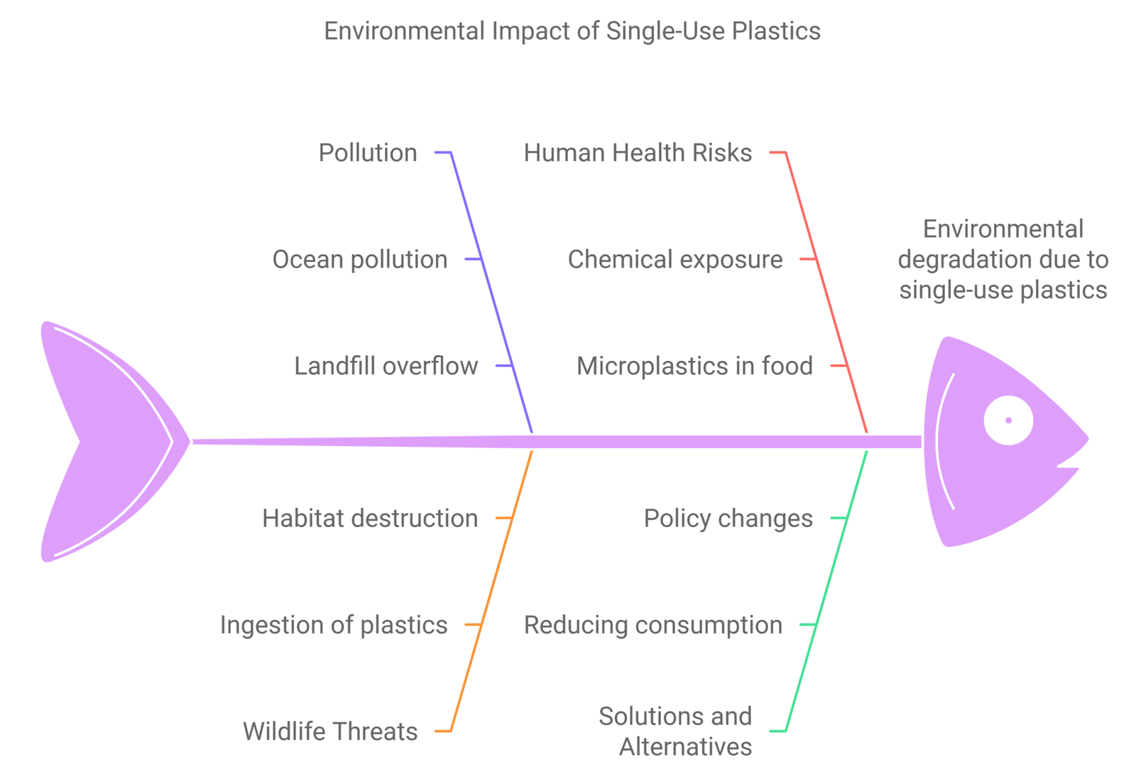The Impact of Single-Use Plastics on the Environment - HSSE WORLD