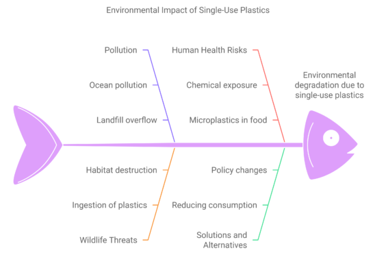 The Impact of Single-Use Plastics on the Environment - HSSE WORLD