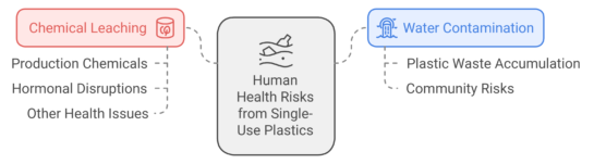 The Impact of Single-Use Plastics on the Environment - HSSE WORLD