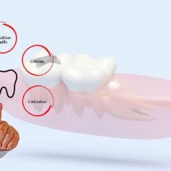 Contractor Safety Orientation Programs Best Practices HSSE WORLD